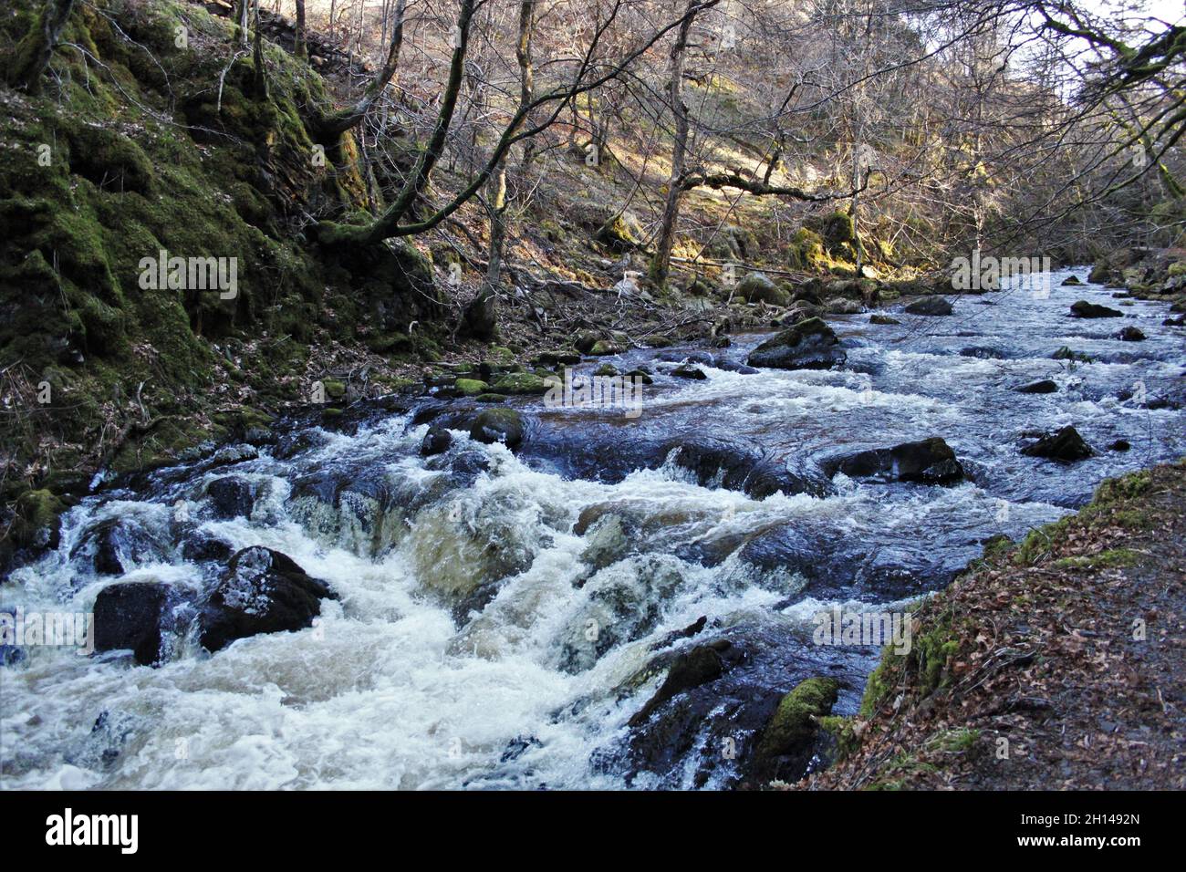 Craigengillan scotland hi-res stock photography and images - Alamy