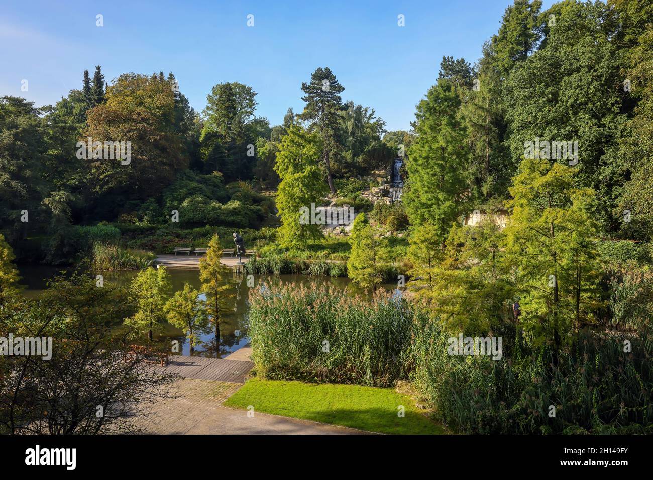 Essen, North Rhine-Westphalia, Germany - forest lake in front of ...