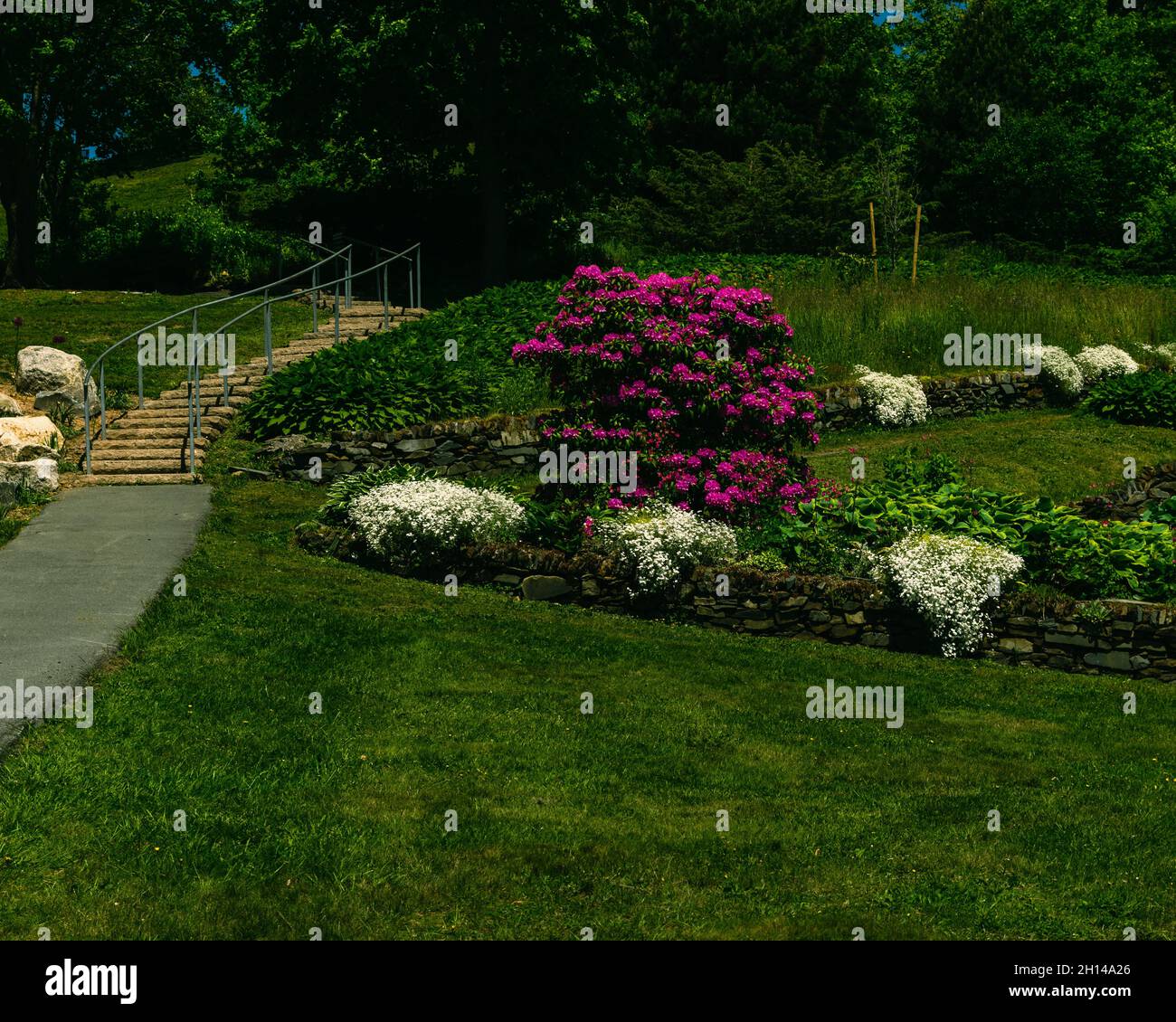 Dartmouth commons hi-res stock photography and images - Alamy
