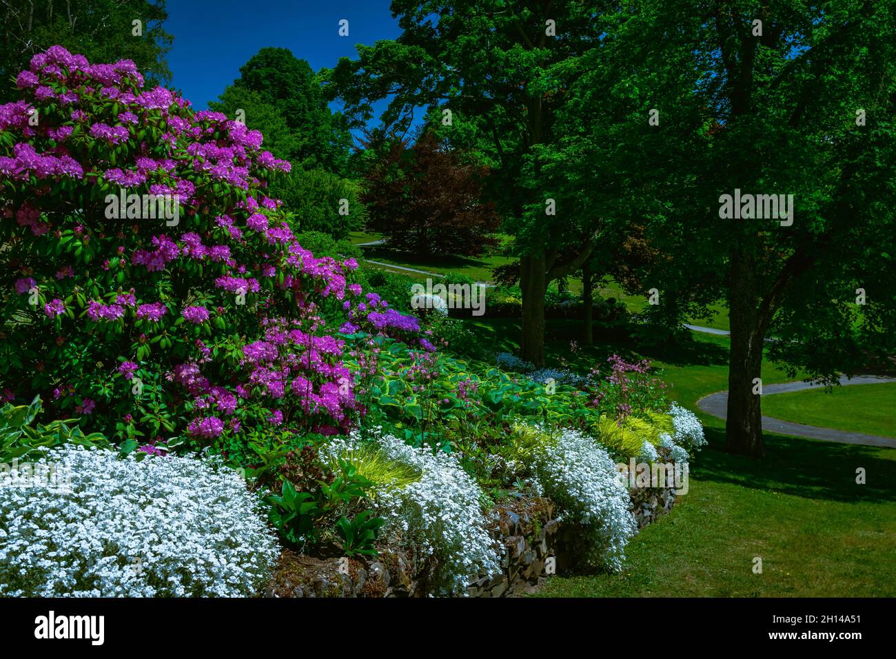 Dartmouth commons hi-res stock photography and images - Alamy
