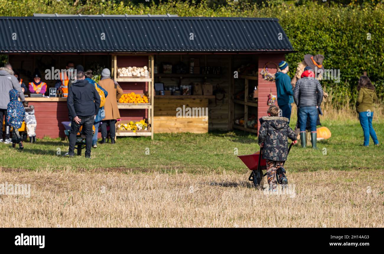 East Lothian, Scotland, UK, 16th October 2021. Pumpkin patch opens at ...