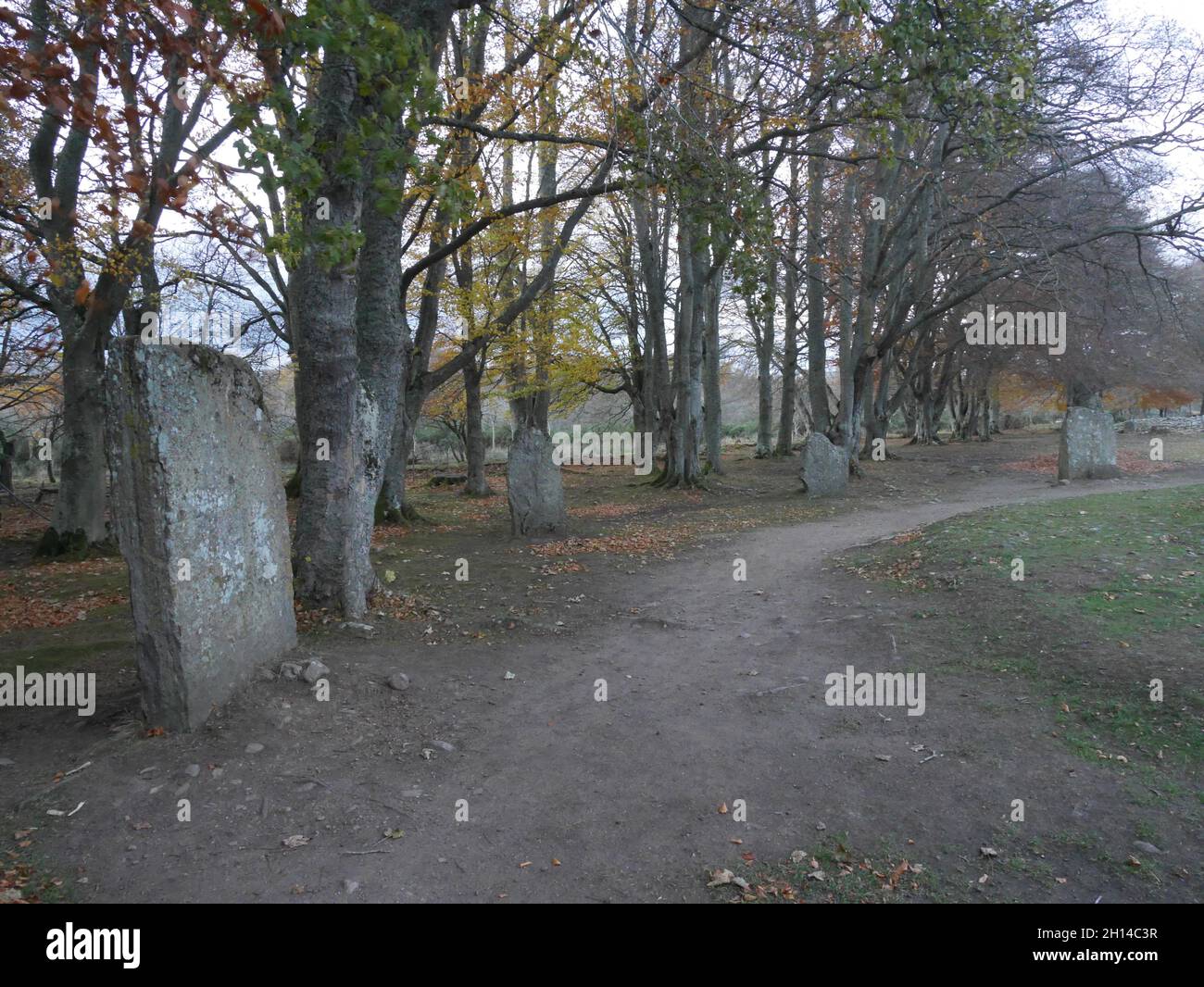 Trail in a park with stone barriers Stock Photo - Alamy