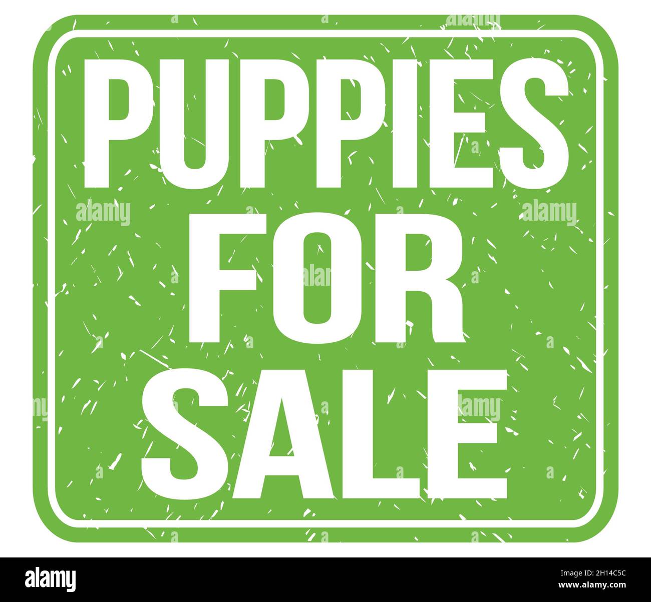 PUPPIES FOR SALE, text written on green vintage stamp sign Stock Photo ...