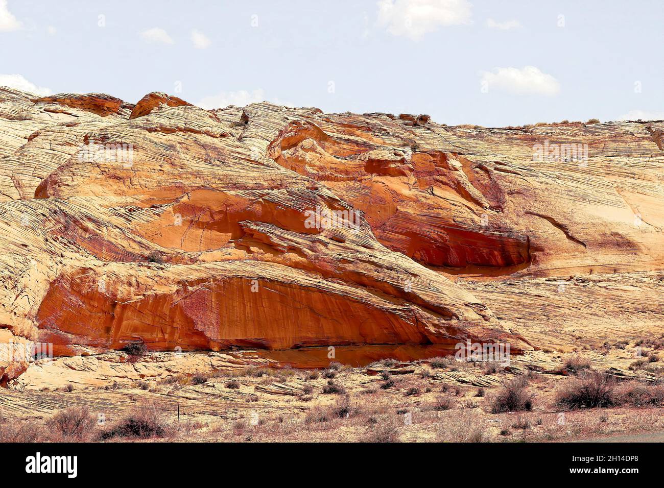 High desert weeds hi-res stock photography and images - Alamy