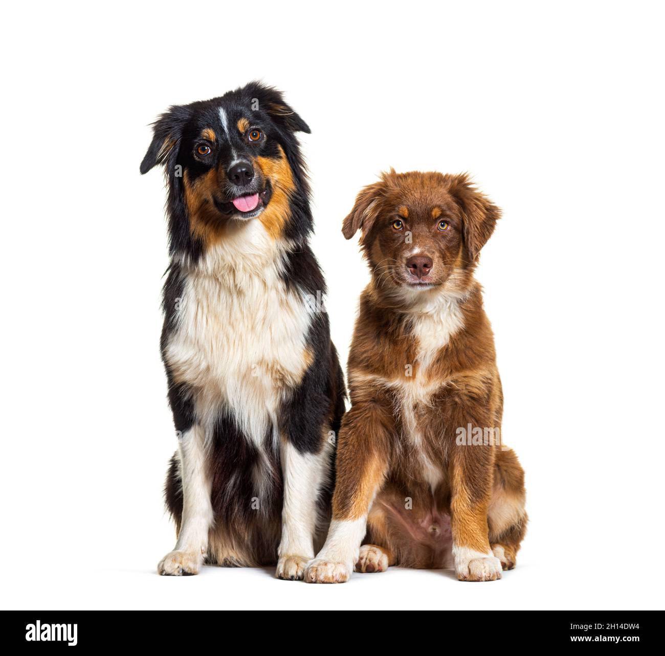 Sitting together side by side hi-res stock photography and images - Alamy