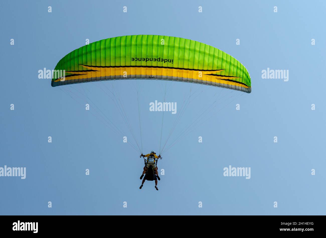 Tandem green and yellow-colored parachute against clear blue sky Stock ...
