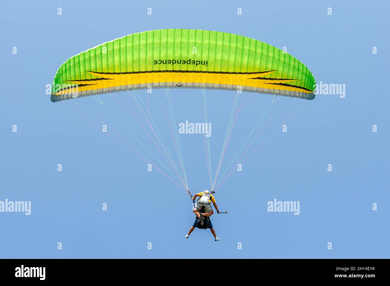 Tandem green and yellow-colored parachute against clear blue sky Stock ...