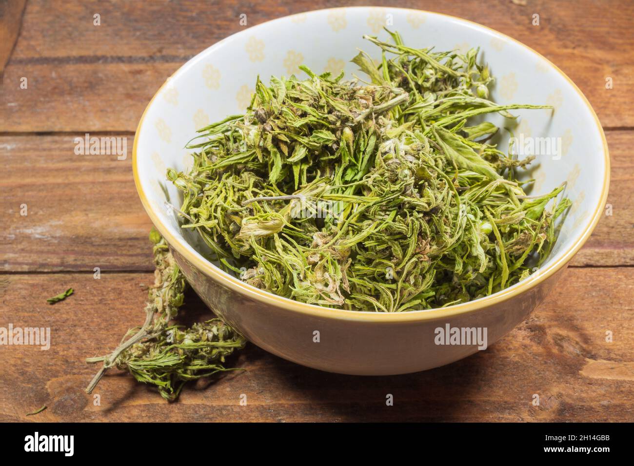 Dried cannabis leaves hi-res stock photography and images - Alamy