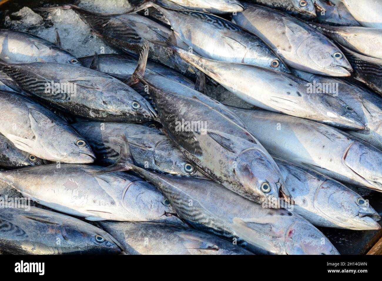 Vung tau seafood market hi-res stock photography and images - Alamy