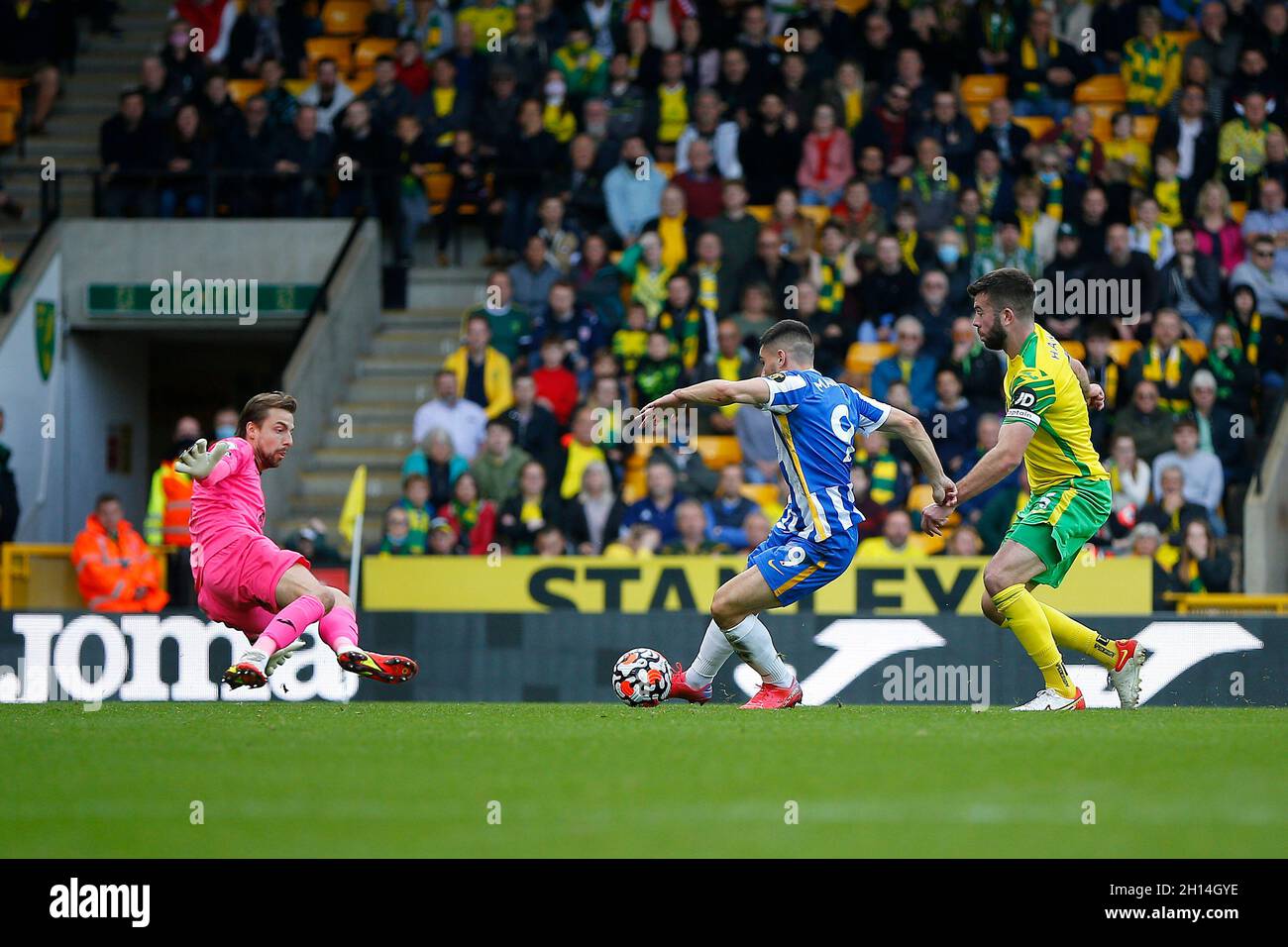 Tim krul brighton hi-res stock photography and images - Alamy