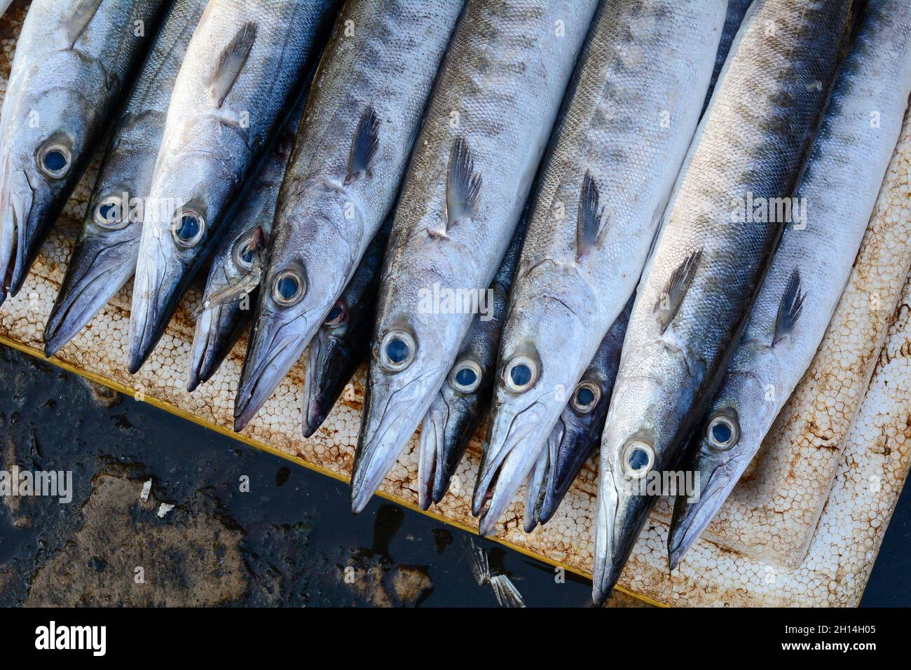 Vung tau seafood market hi-res stock photography and images - Alamy