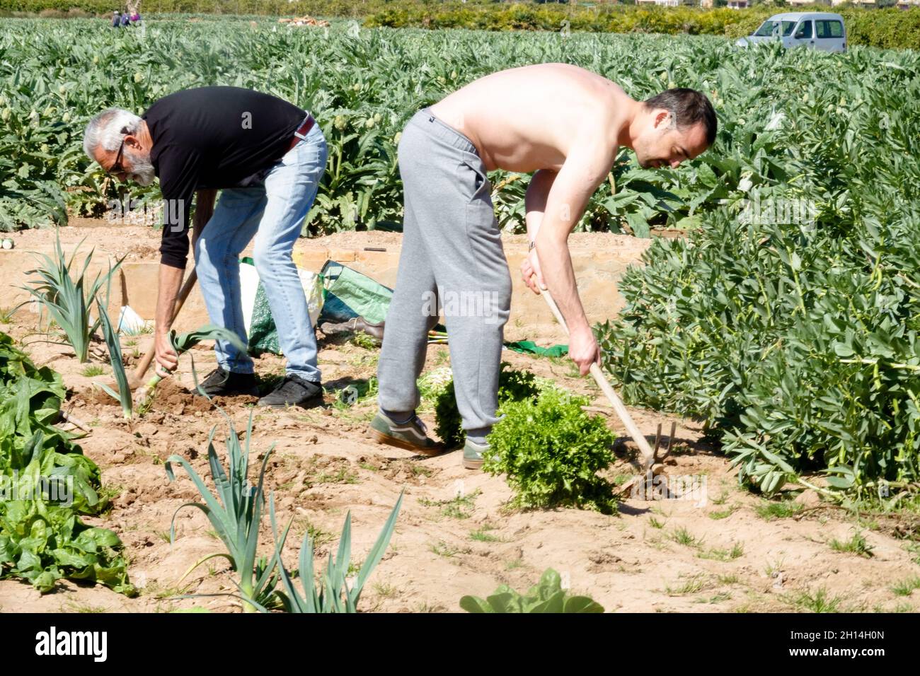 Small farmers Europe agriculture Spain Stock Photo - Alamy
