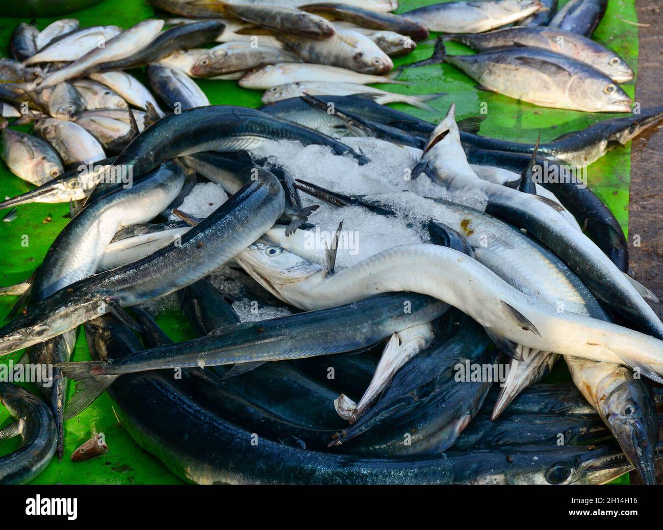 Selling fish at rural market in Vung Tau, Southern Vietnam Stock Photo ...