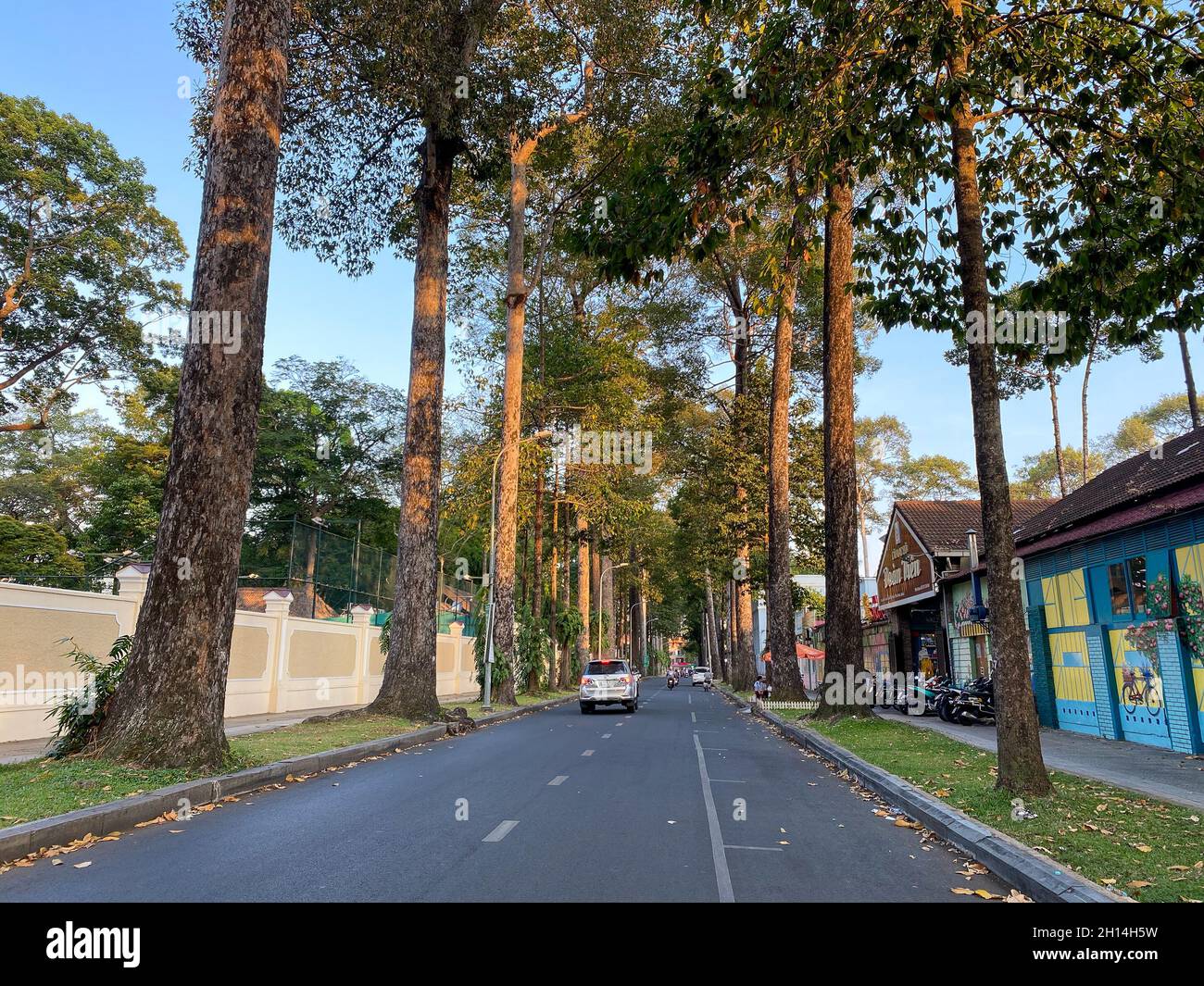 Saigon, Vietnam - Oct 3, 2021. Road with many trees in downtown Saigon ...