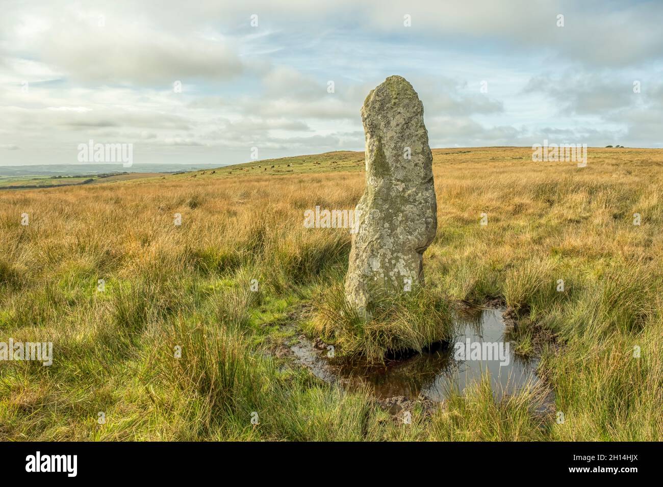 Phallic Standing Stone High Resolution Stock Photography and Images - Alamy