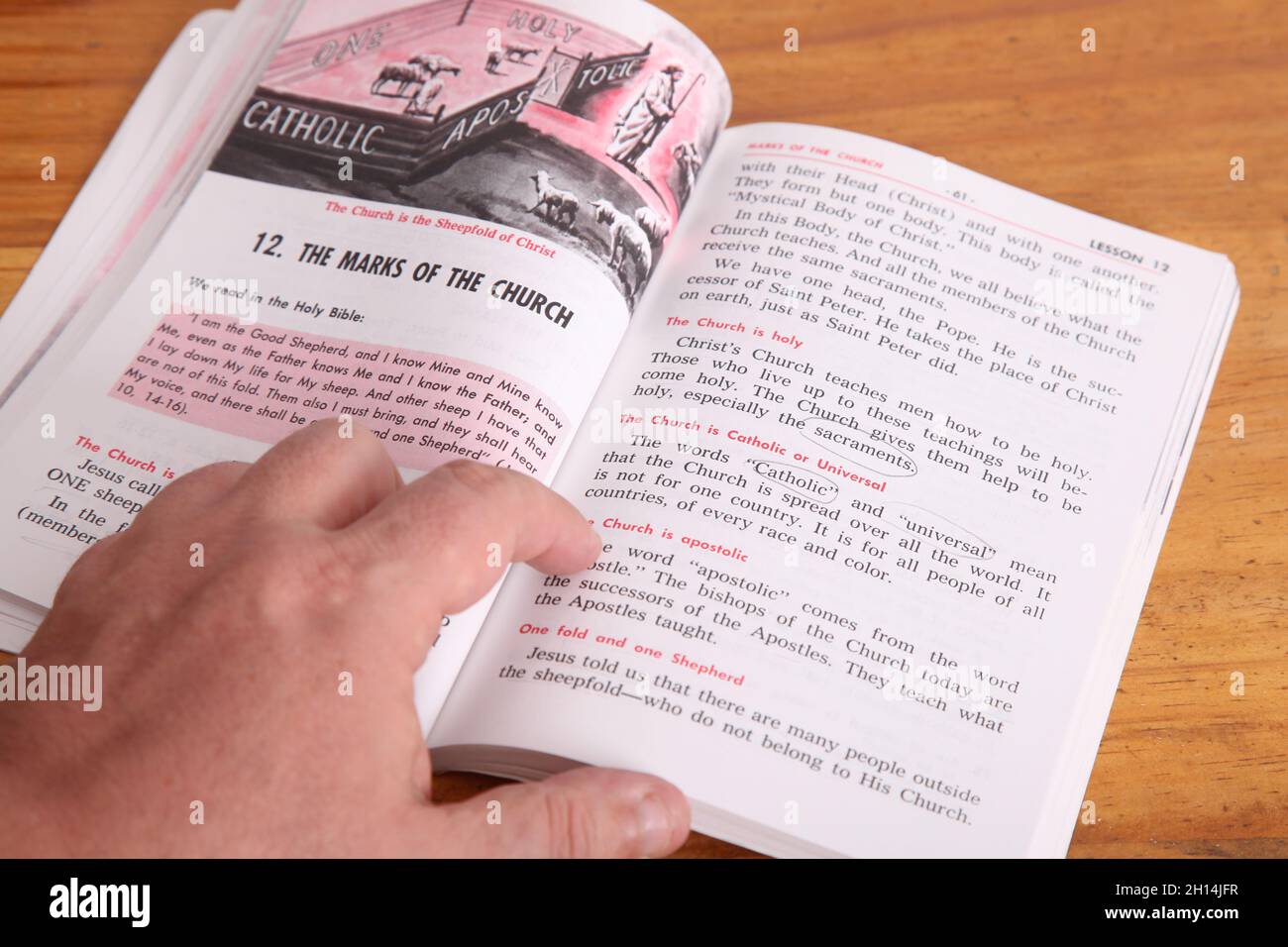 Man reading 'The Marks of the Church' Baltimore Catechism by Father ...