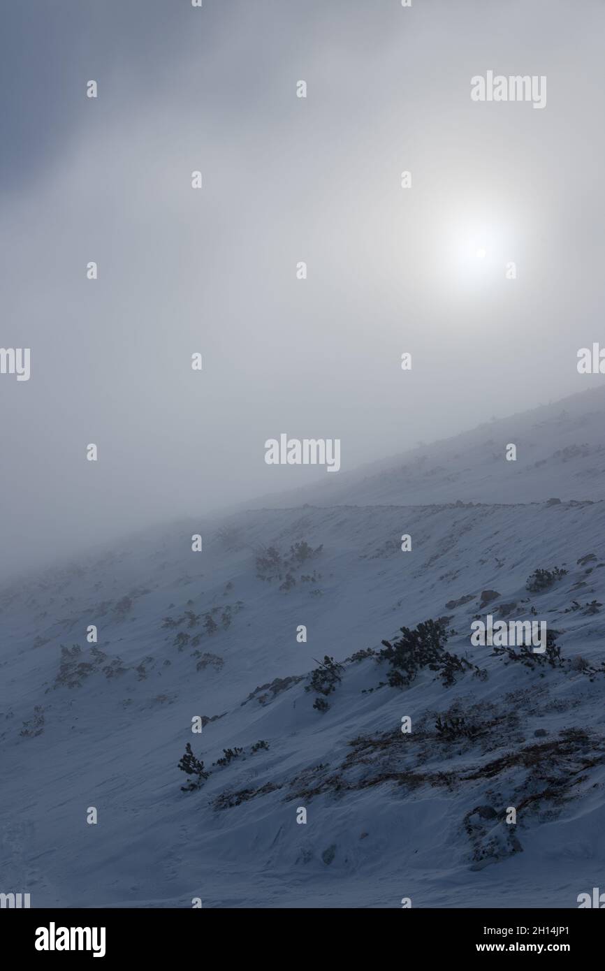 View of a snow-covered hill slope and the sun shining brightly through ...