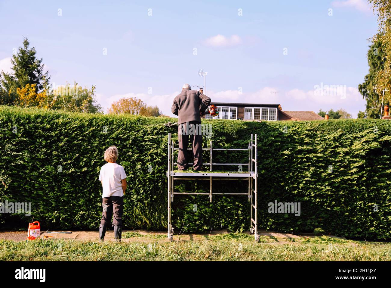 Cutting hedge from scaffolding hi-res stock photography and images - Alamy