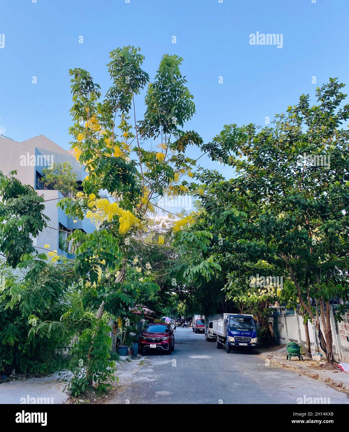 Saigon, Vietnam - Oct 3, 2021. Road with many trees in downtown Saigon ...