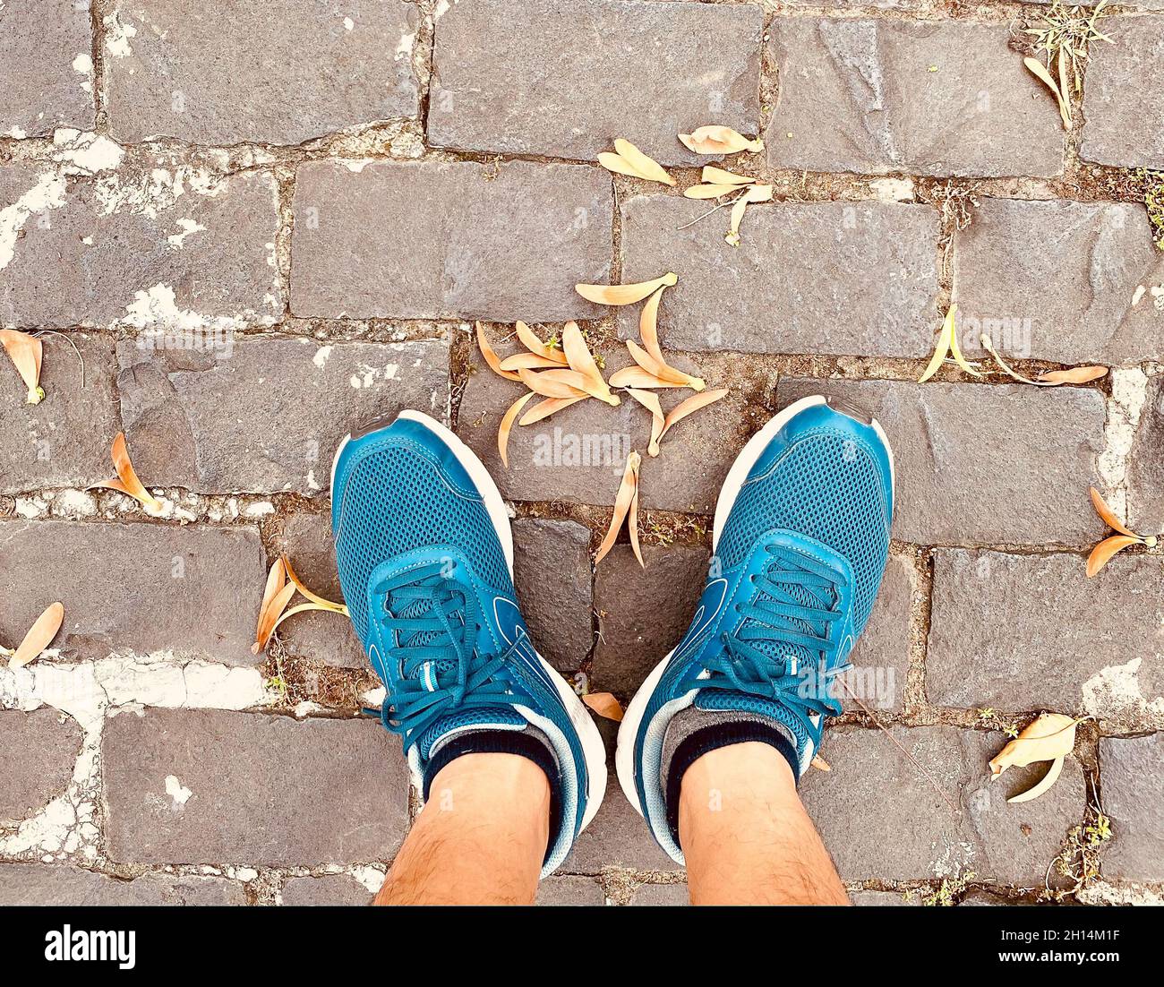 Feet wearing sneakers preparing to run at public park Stock Photo - Alamy