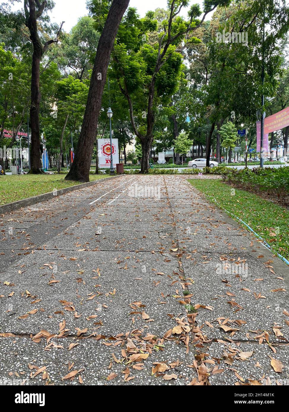 Saigon, Vietnam - Oct 3, 2021. Road with many trees in downtown Saigon ...