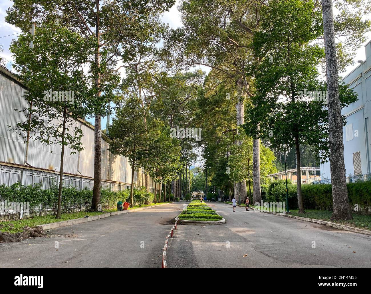 Saigon, Vietnam - Oct 3, 2021. Road with many trees in downtown Saigon ...