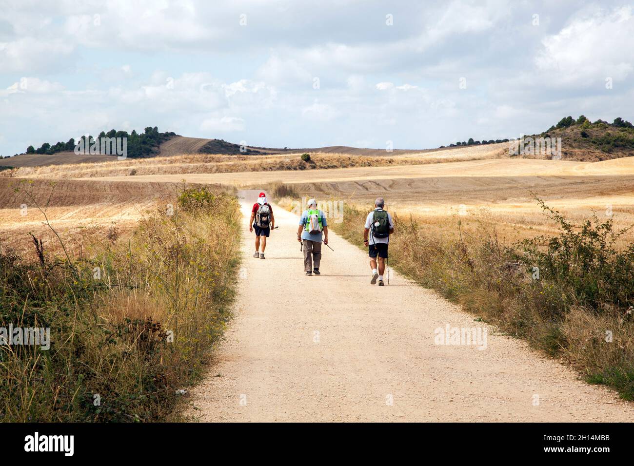 Pilgrims walking through the Spanish countryside between Estella and ...