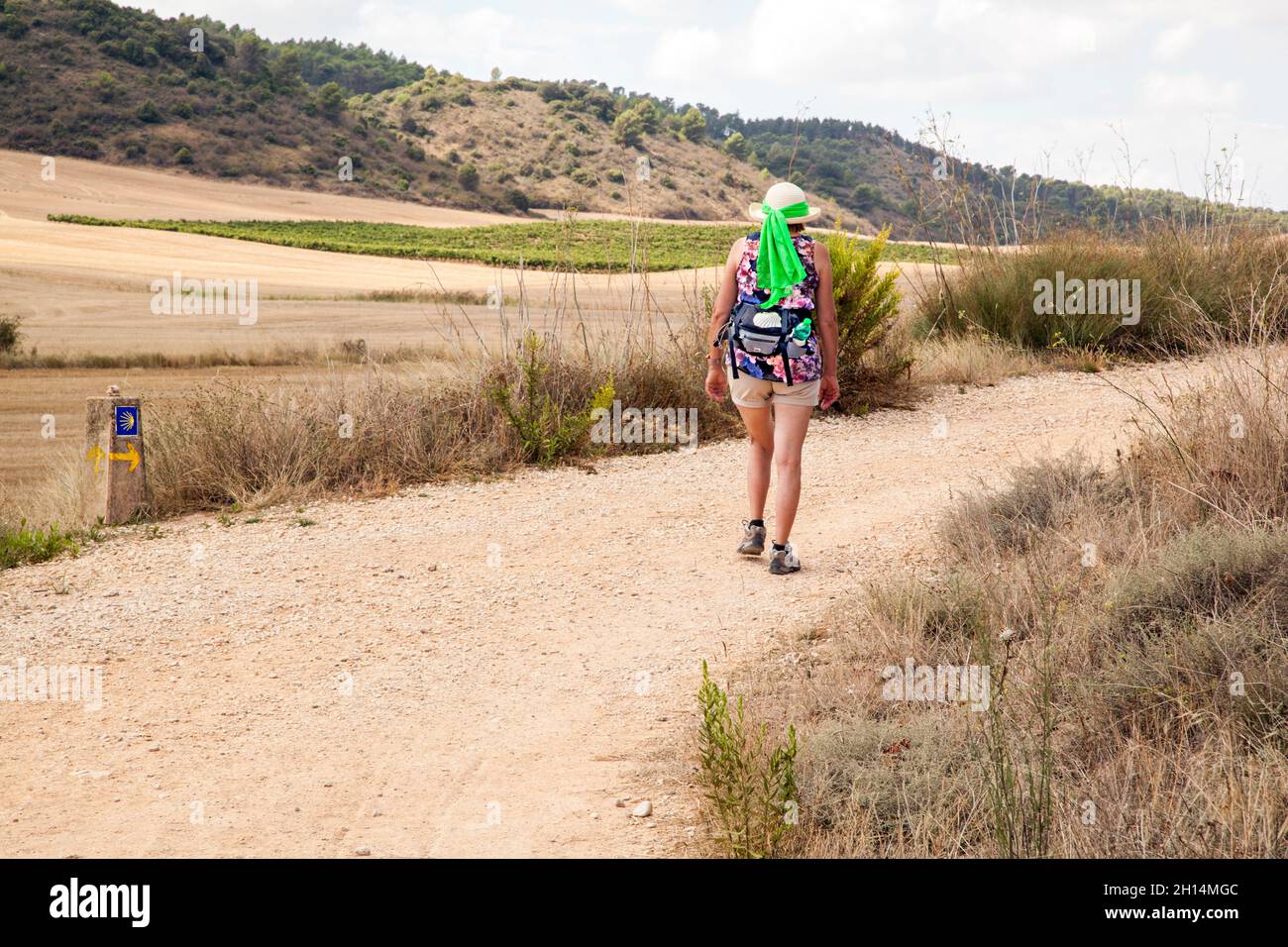 Pilgrims walking through the Spanish countryside between Estella and ...