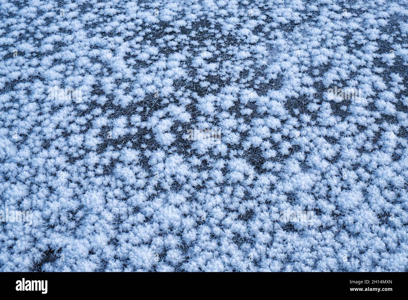 Texture of hoarfrost crystals over ice. Natural winter snow background ...