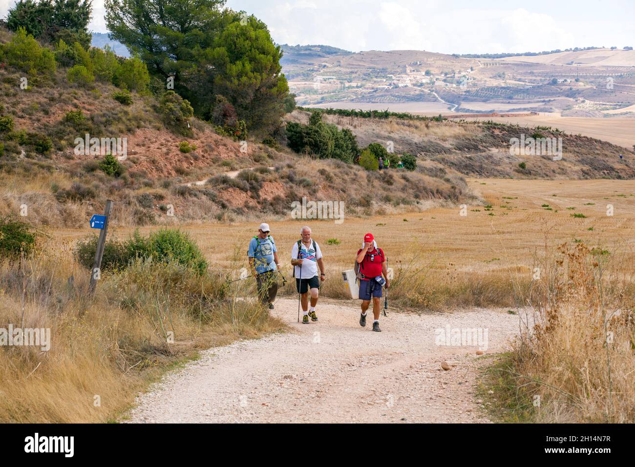 Pilgrims walking through the Spanish countryside between Estella and ...