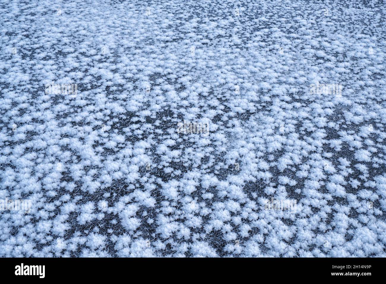 Texture of hoarfrost crystals over ice. Natural winter snow background ...