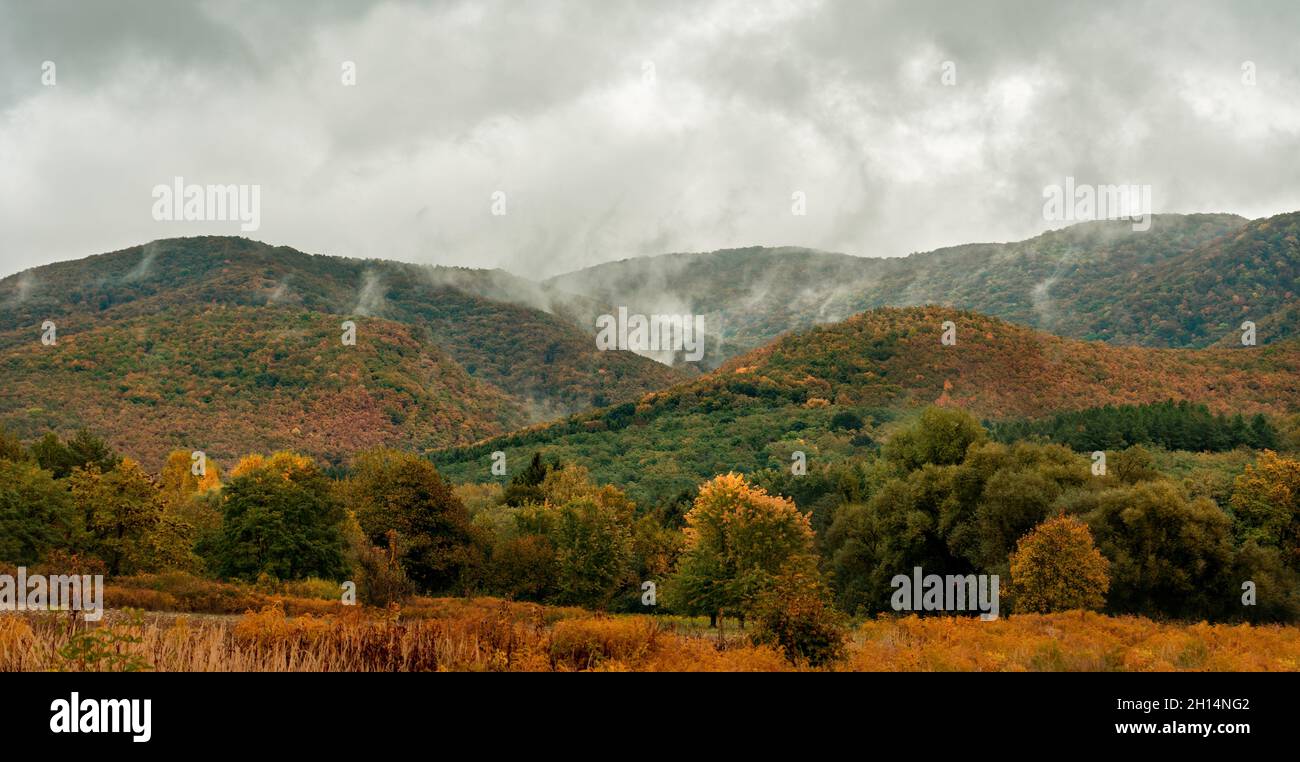 View autumn forest on cloudy hi-res stock photography and images - Alamy