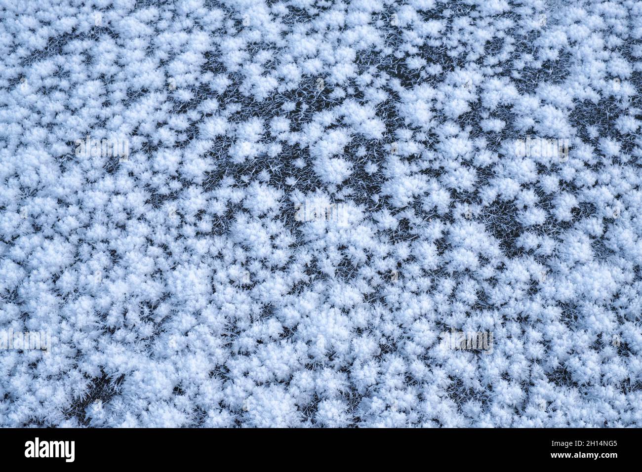 Texture of hoarfrost crystals over ice. Natural winter snow background ...