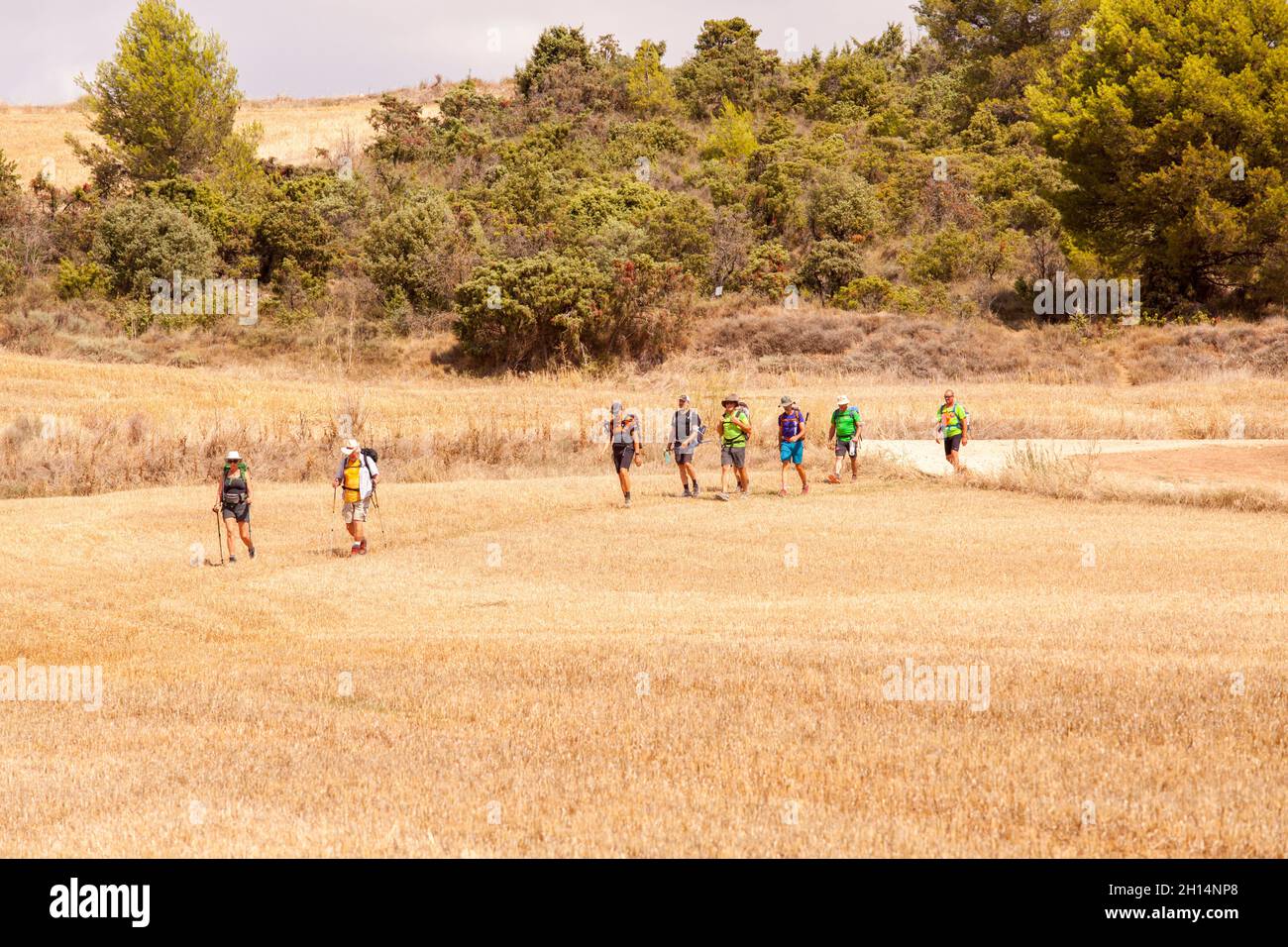 Group of Pilgrims walking through the Spanish countryside between ...