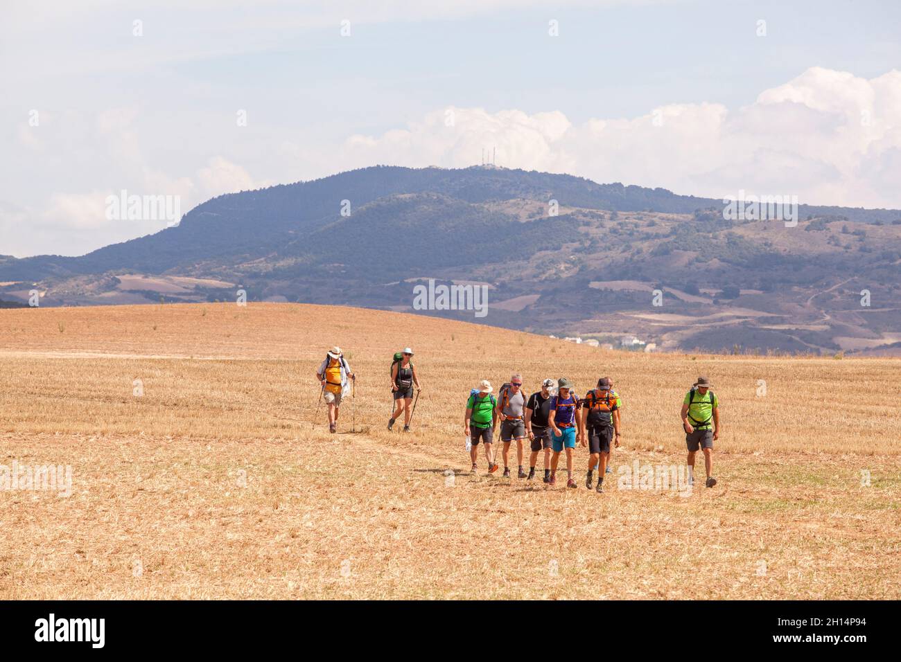 Group of Pilgrims walking through the Spanish countryside between ...