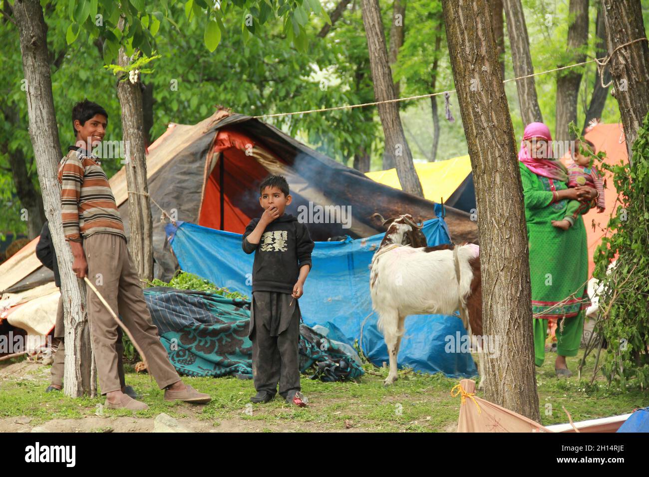 People living in tents. Pakistan Stock Photo - Alamy