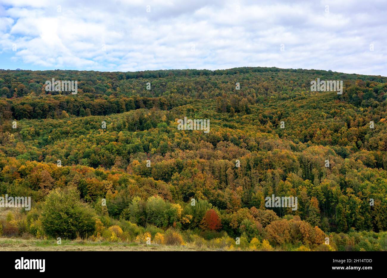 Hungary national park view hi-res stock photography and images - Alamy