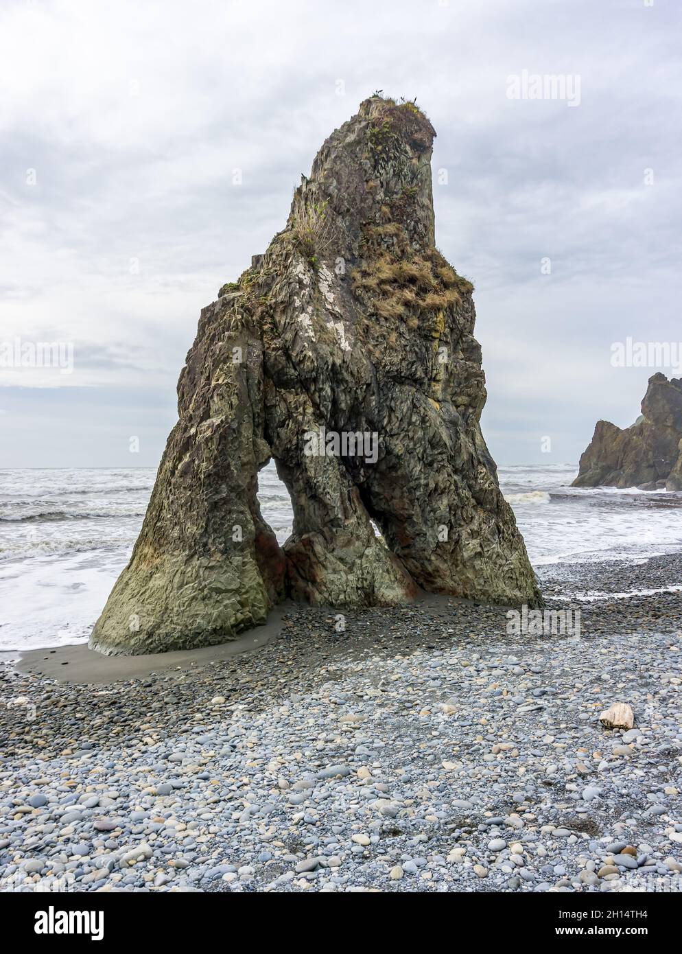 A detail shot of a rock monolith at Ruby Beach in Washington State ...