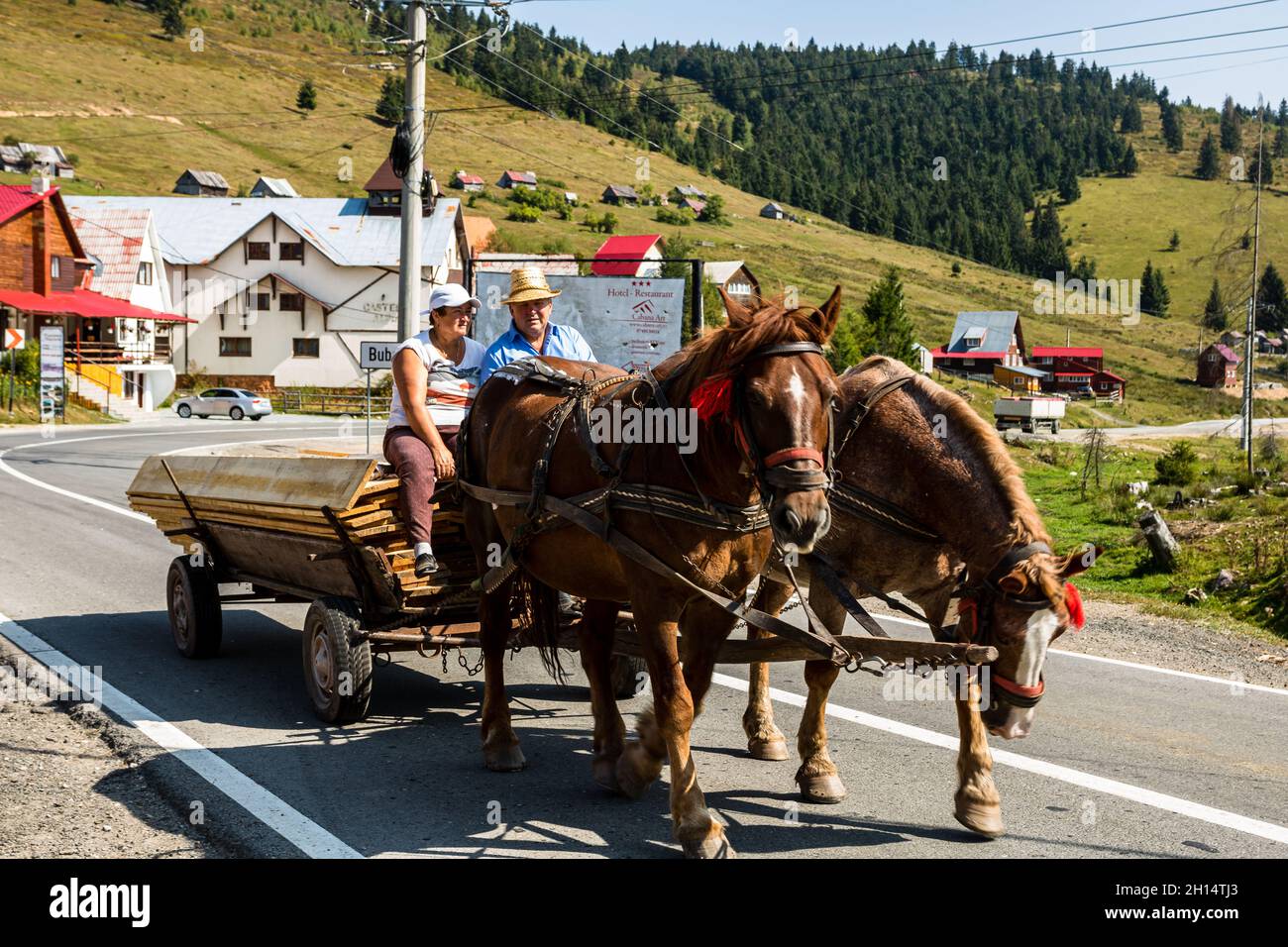 Wooden planks horse carriage hi-res stock photography and images - Alamy