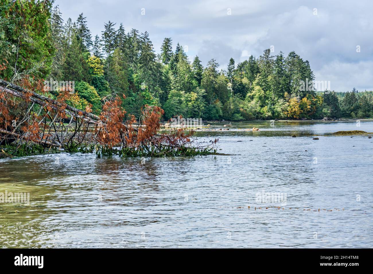 Landscae shote of Pillar Point on the Olympic Peninsula in Washington ...