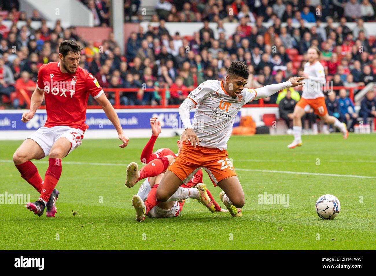 John Worrall High Resolution Stock Photography and Images - Alamy