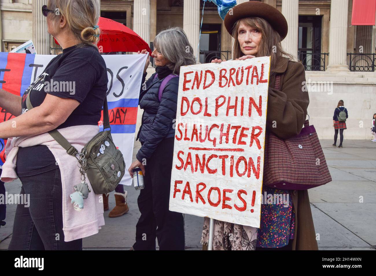 Dolphin abuse hi-res stock photography and images - Alamy