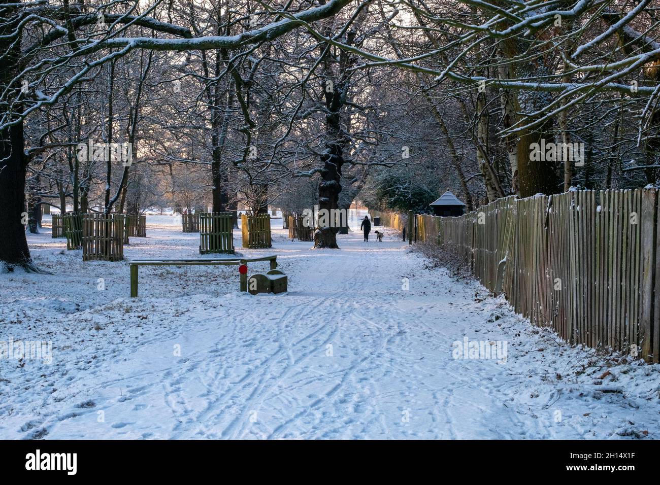 snow in park at dawn Stock Photo - Alamy
