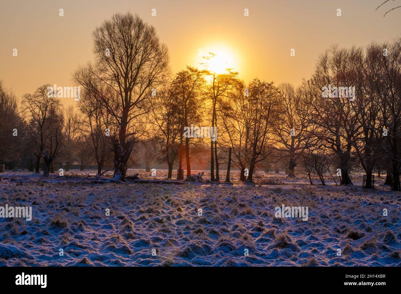 snow in park at dawn Stock Photo - Alamy