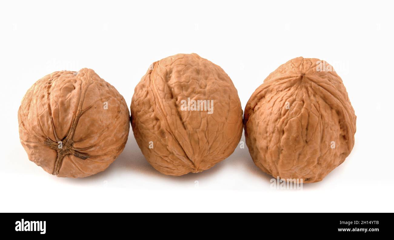 Isolated walnuts on a white background. Three nuts Stock Photo - Alamy