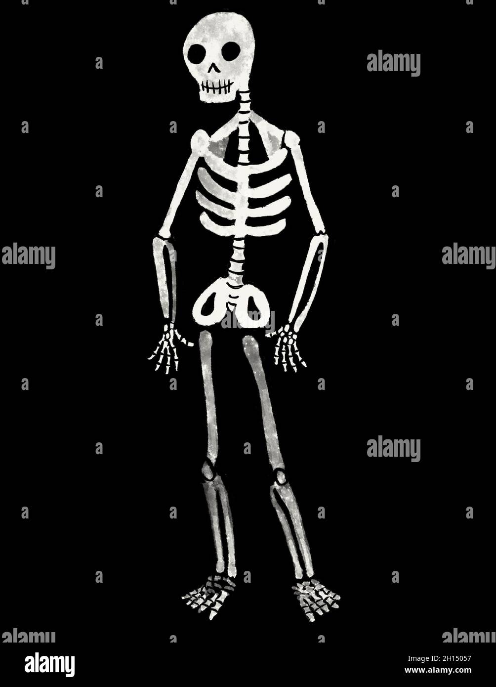 hand drawn skeleton Stock Photo - Alamy