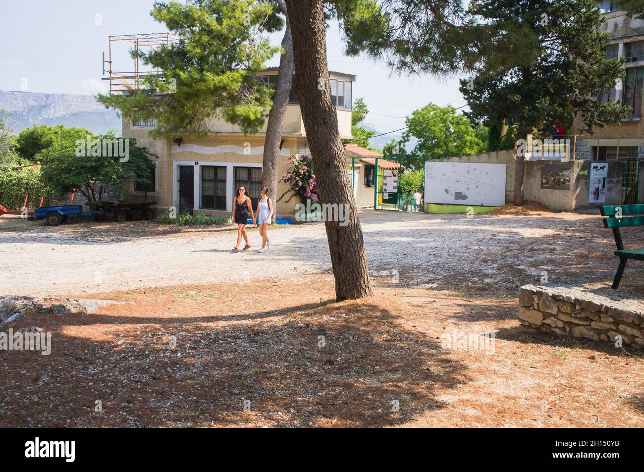 Split zoo hi-res stock photography and images - Alamy