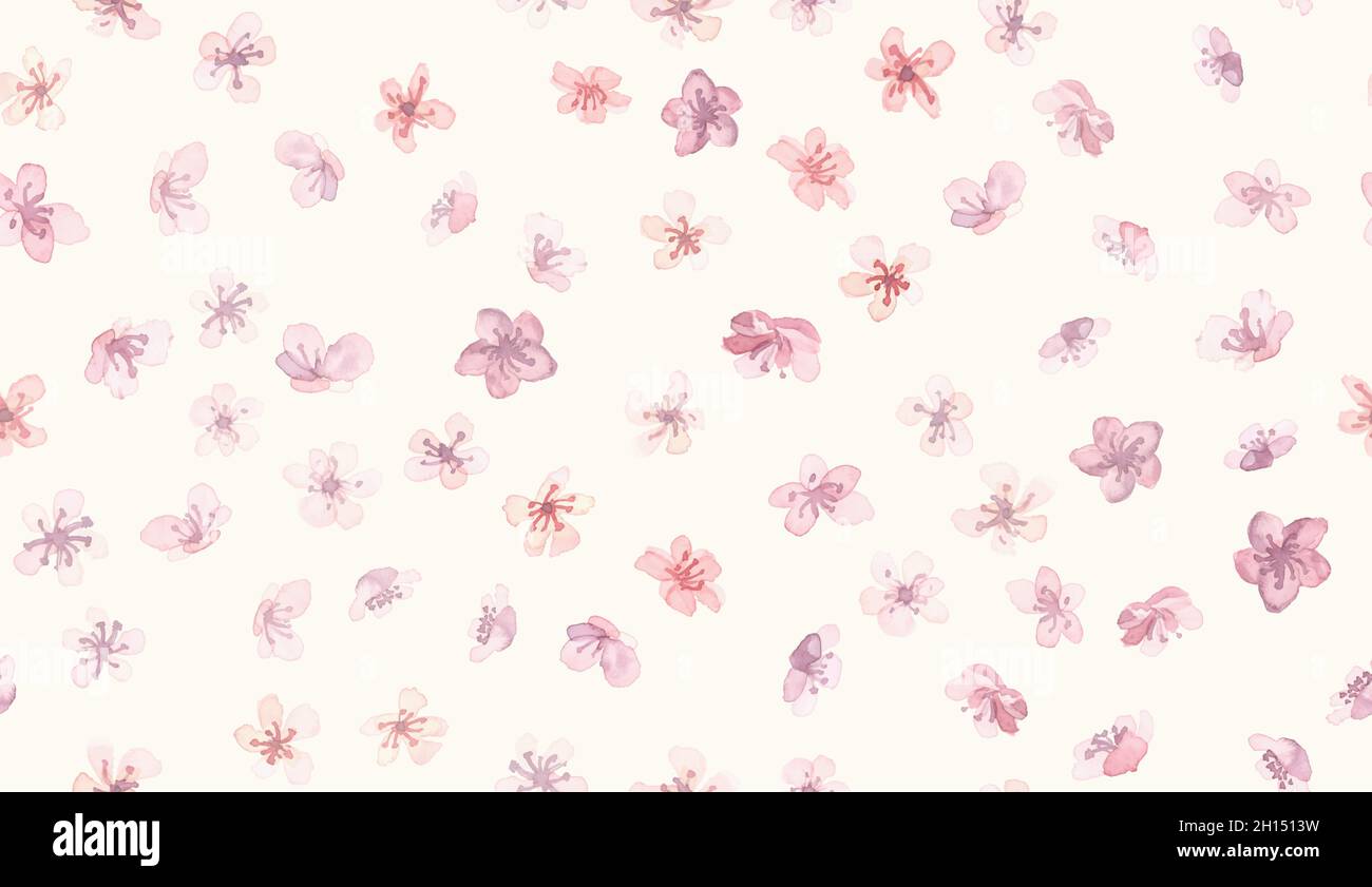 Spring Sakura Japan. Vector Rose Flower. Abstract Stock Vector Image ...