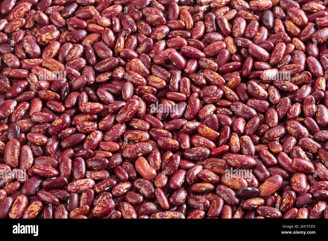 Dried red pinto beans background Stock Photo - Alamy