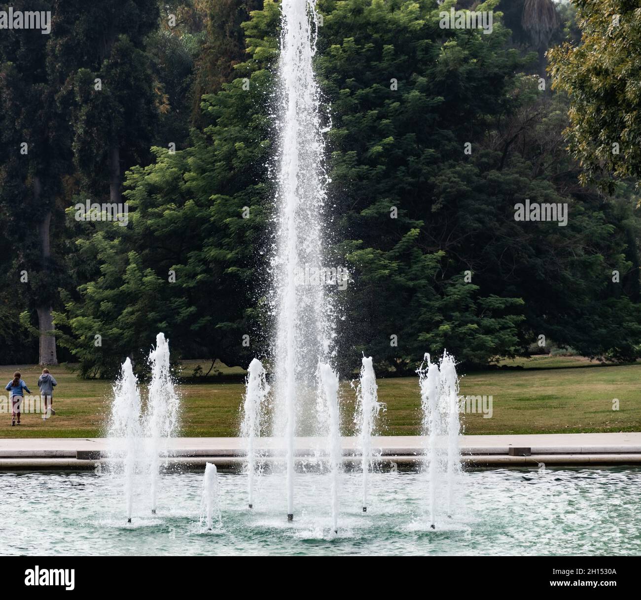 Fountains in a pond against green trees Stock Photo - Alamy